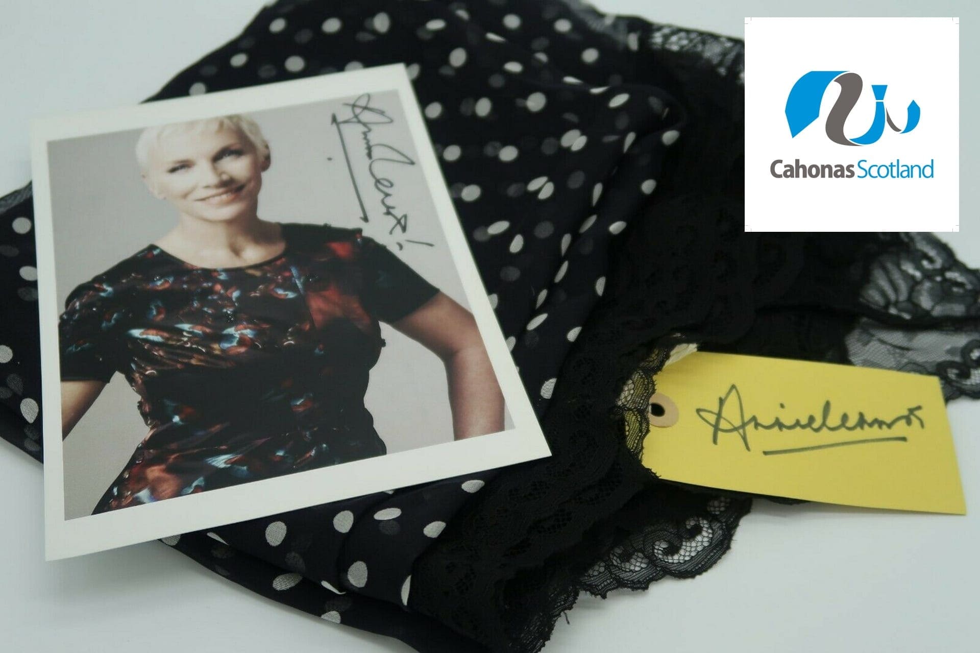 There's still time to bid on Annie Lennox's scarf to benefit Cahonas ...